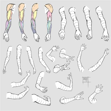 Sketchdump August 2017 [arms] By Damaimikaz On Deviantart Drawing