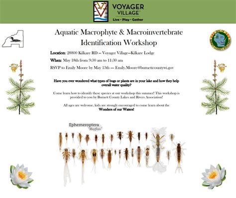 Aquatic Macrophyte And Macroinvertebrate Identification Workshop With Emily Moore Voyager Village