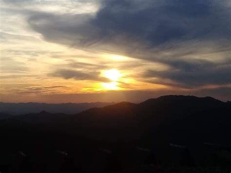 อัพเดท ดอกไม้ที่พัก สวนดอยแม่อูคอ ที่พักทุ่งดอกบัวตอง