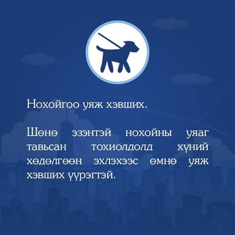Гэрийн тэжээвэр амьтныг галзуу өвчний эсрэг вакцинд тогтмол хамруулаарай