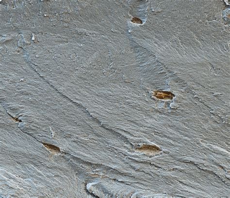 Compact Bone Sem Stock Image C057 8423 Science Photo Library