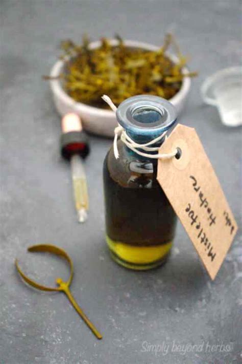Mistletoe Tincture For Anxiety And Stress Relief Simplybeyondherbs