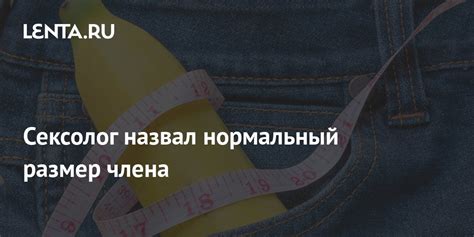 Сексолог назвал нормальный размер члена Отношения Забота о себе