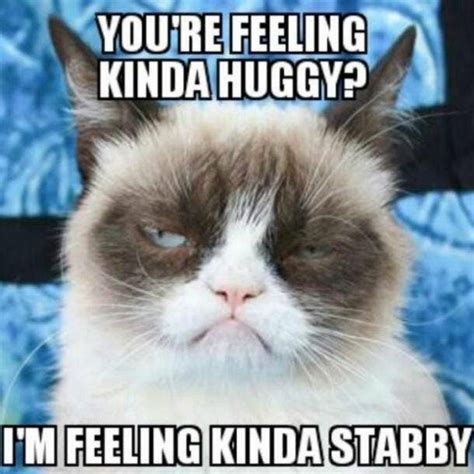 21 Best Grumpy Cat Memes And Funny Quotes About Love And Life Yourtango