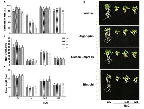 哈达和牛一丁课题组在苜蓿抗逆研究中取得进展 牧草与特色作物生物学教育部重点实验室