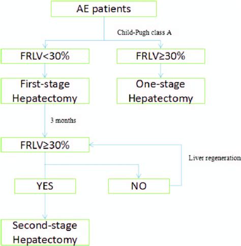 A Flow Diagram Summarizing The Two Stage Hepatectomy Procedure