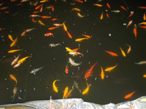 Внимание киселинни дъждове