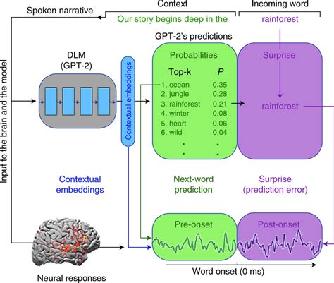 shared computational principles between the brain and autoregressive download scientific