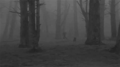 Special Olympics On Linkedin Unleashing The Power