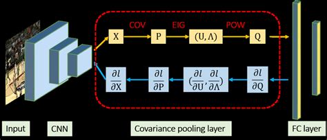High Order Covariance Pooling Network Structure The Yellow Boxes Are Download Scientific