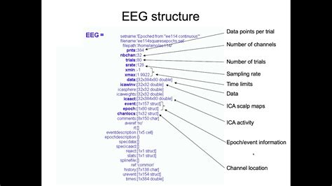 Eeglab Introduction Part 6 Multi Subject Analysis And Scripting Youtube