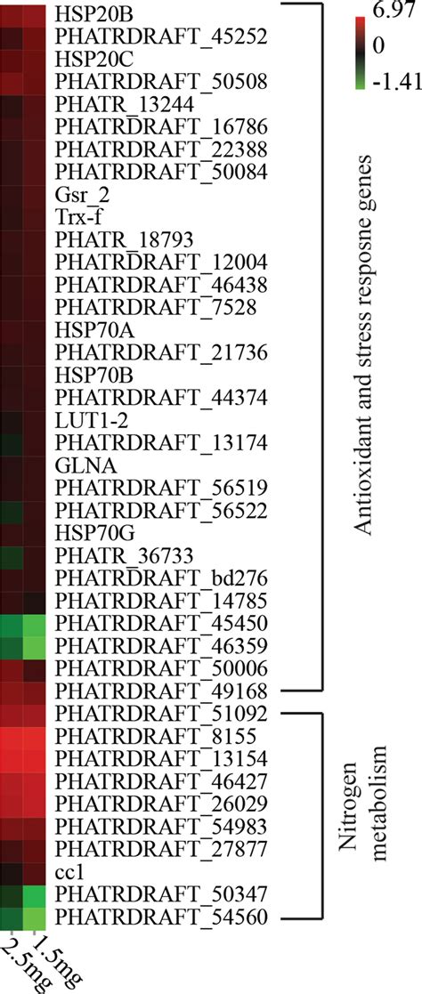 Heatmap Of Differentially Expressed Genes Assigned To Antioxidant Download Scientific Diagram