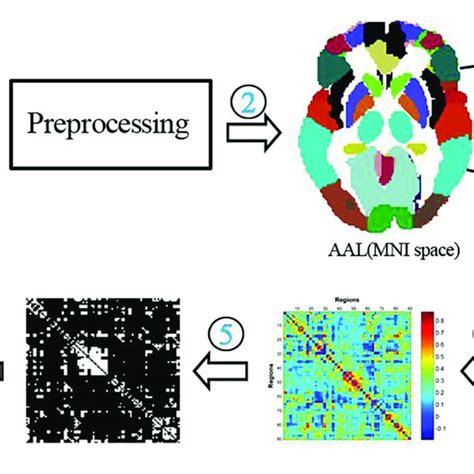 Flow Chart Of The Functional Network Analysis 1 Preprocessing Of Download Scientific