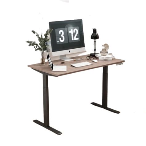 Dual Motor Electric Stand Up Desk Fl Tekavo