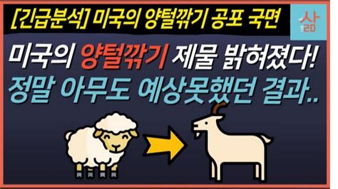 나스닥 딥시크 쇼크보다 더큰 양털깍기경제 쇼크로 폭락직전 비트코인 연동쇼크 불가피 나스닥 딥시크 비트코인 Youtube