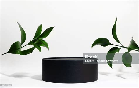 단단한 그림자와 잎이있는 흰색 배경에 원통형 검은 연단 화장품 프리젠 테이션의 최소한의 빈 장면 기하학적 연단 0명에 대한 스톡