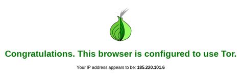How To Easily Install Tor On Kali Linux InfosecScout