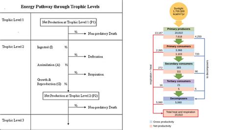 Ecological Efficiency Eco Efficiency Planet Discovery