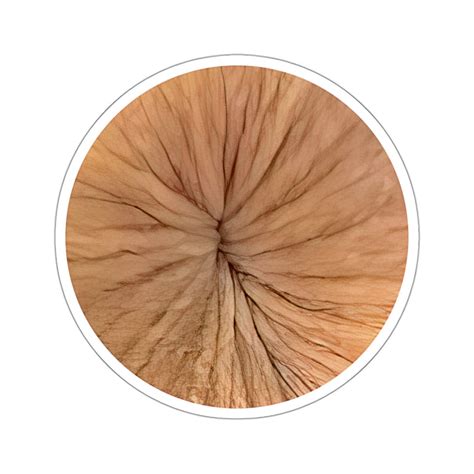 Butthole Sticker Free Shipping Premium Removable Vinyl Round Butthole