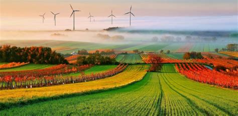 Сортови семена България Високо качество на достъпни цени