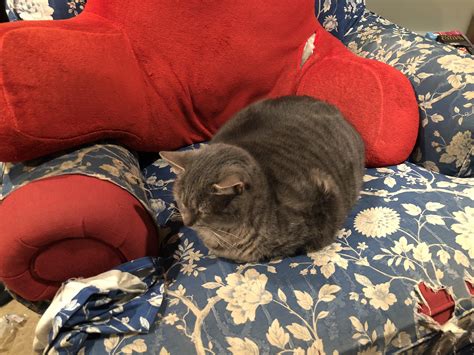 Content Chunk Rabsoluteunits