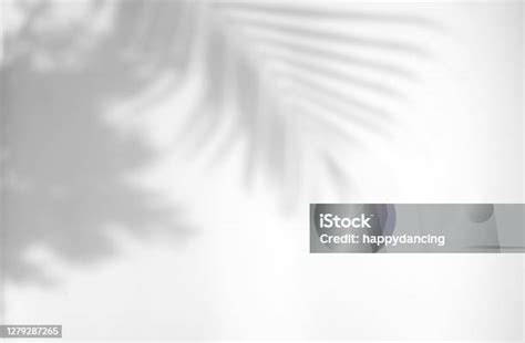 사실적이고 유기적인 열대 잎 천연 그림자 오버레이 효과 화이트 텍스처 배경에 제품 프리젠 테이션에 오버레이에 대 한 배경 및 모형 0명에 대한 스톡 사진 및 기타 이미지