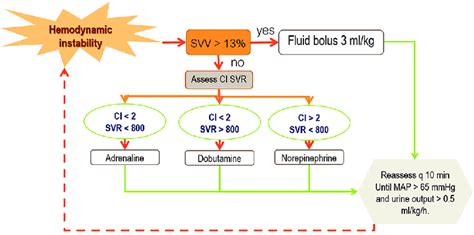 Algorithm Of Cardiac Output Guided Hemodynamic Therapy Group B