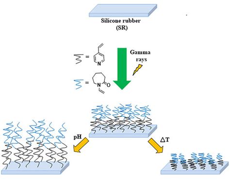 Synthesis Of A Thermo And Ph Sensitive Comb Type Graft Copolymer By Ionizing Radiation Mrs