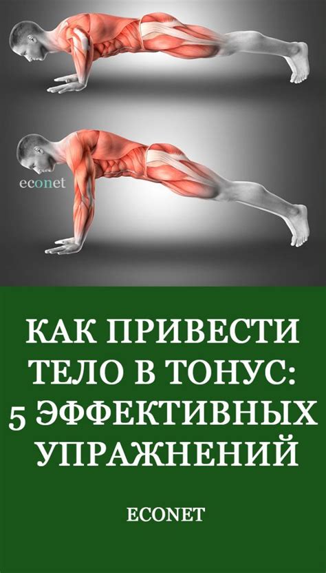 здоровье Упражнения Планы тренировок для мужчин Тело