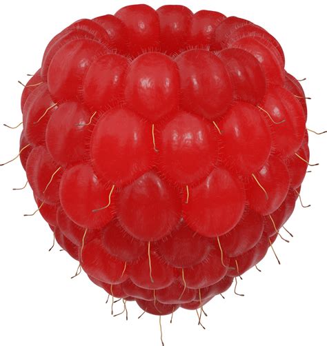 Raspberry Latham Latham Raspberry Diggin It Nursery