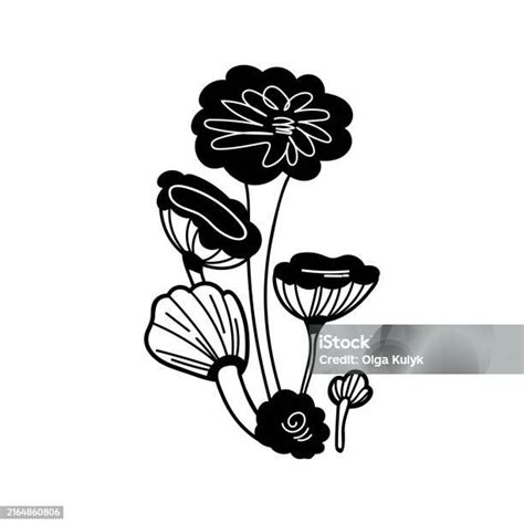 스토킹 주홍 컵 버섯 개요 벡터 일러스트 레이 션 벡터 라인 아트 숲 식용 원시 야채 절연 통하고 있는 백색 배경 가을에 대한 스톡 벡터 아트 및 기타 이미지 Istock