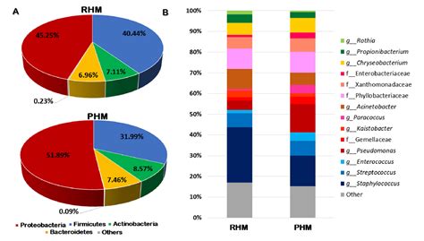 Figure 2 From The Influence Of Holder Pasteurization On The Diversity Of The Human Milk