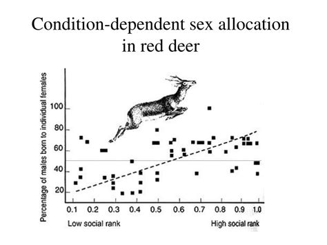 Ppt Sex And Sex Ratio Powerpoint Presentation Free Download Id1393950