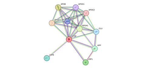 The Apoe Gene And Its Putative Association With Human Ageing