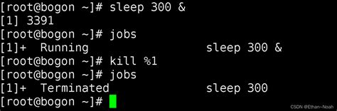 linux系统中用源代码编译安装软件和查看进程 apr 1 6 5 tar gz csdn博客