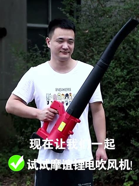 나뭇잎 낙엽 청소기 송풍기 집진기 거리 청소 무선 Youtube