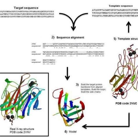 Pdf In Silico Protein Engineering Methods And Tools