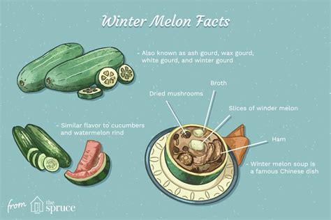What Is A Winter Melon