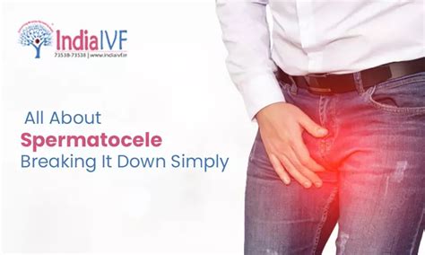 Spermatocele Simplified What You Need To Know
