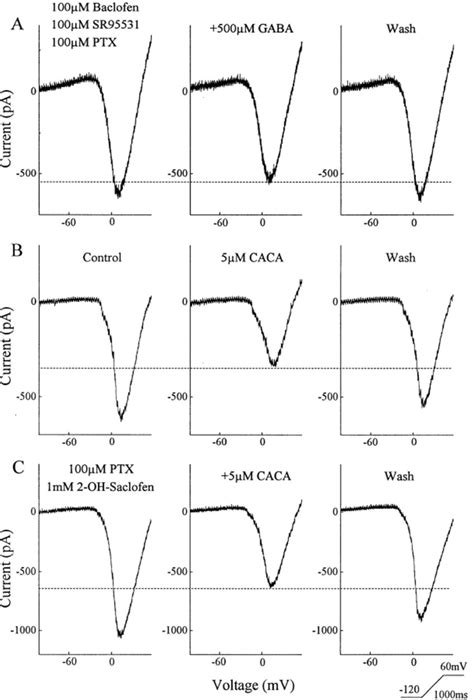 Ganglion Cells Possess A Caca Sensitive Gaba Receptor A There Is A