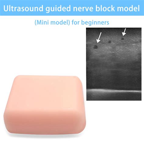 Ultrasound Guided Nerve Block Training Model Ultrasound Blockage Simulation Model