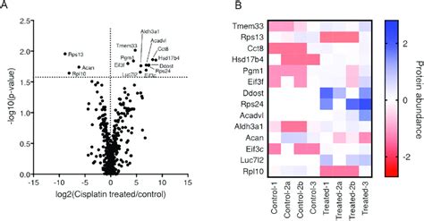 A Volcano Plot Showing The Log 10 P Values As A Function Of Log 2 Download Scientific