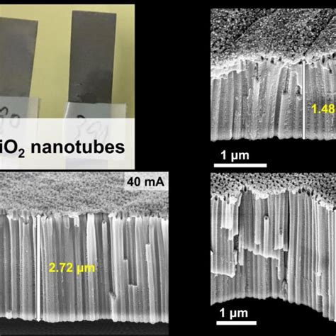 A Digital Photos Of TiO 2 Nanotubes SEM Images Of ATNTs On B 30 Download Scientific