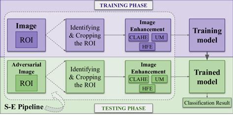 S E Pipeline A Vision Transformer Vit Based Resilient Classification Pipeline For Medical