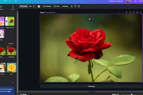How To Change The Background To Transparent In Canva