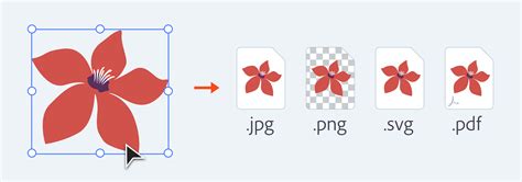 learn how to export assets from adobe xd to png svg and pdf file