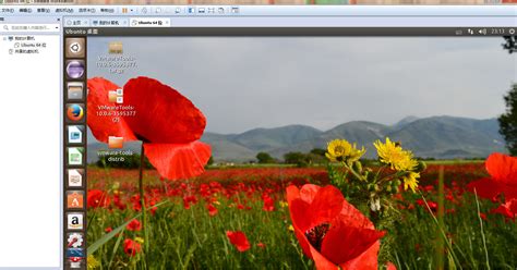 Ubuntu16虚拟机调整窗口大小自适应windows7hyper Vubuntu窗口太小 Csdn博客