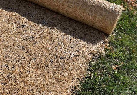 What Is Best To Cover New Grass Seed Storables