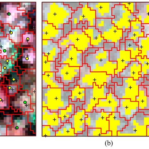 A Hyperspectral Image With The Location Of Trees Dominant And Download Scientific Diagram