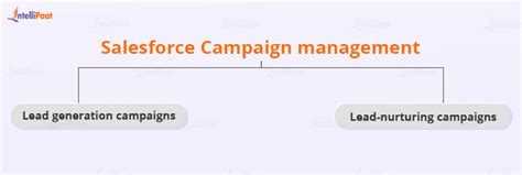 Salesforce Campaign How To Create A Campaign In Salesforce